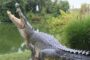 Top 10 Largest Crocodiles in the world - Depth World