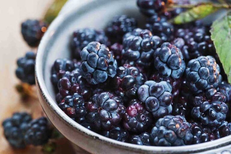 10 World Top Foods that Improve Eyesight - WiseApp | Brain Game