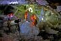 12 Amazing Caves with surprising facts - Depth World