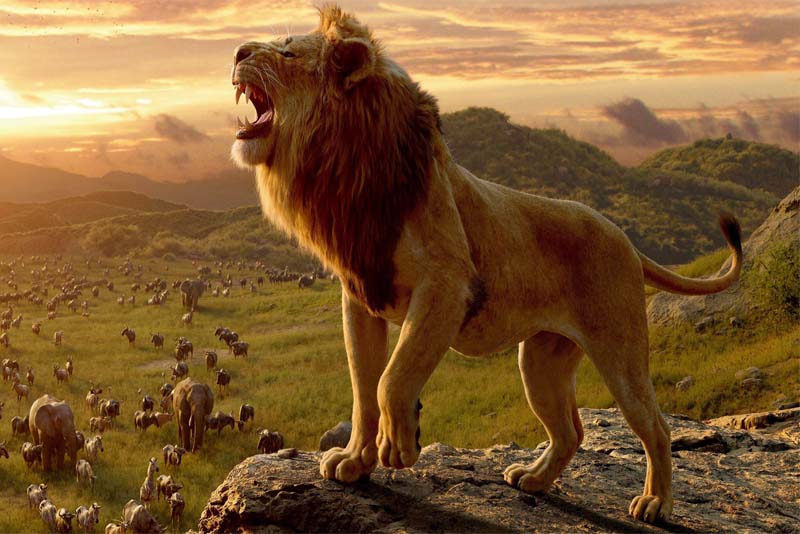 Top 10 Fierce Animals In The World - Depth World