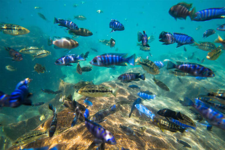 Top 10 Deepest Lakes in the World - Depth World