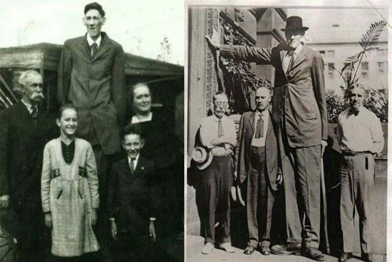 Top 10 Tallest Man In The World - Depth World