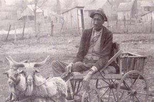 Top 10 Tallest Man In The World - Depth World