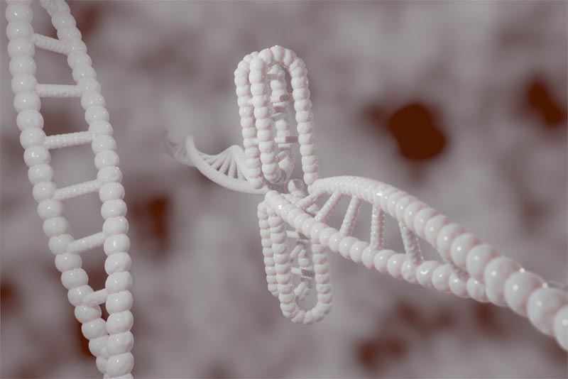 10 Amazing and interesting Facts about Human DNA - Depth World