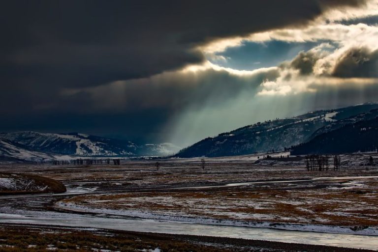 10 Interesting Facts About Yellowstone National Park - Depth World