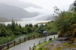 Top 10 Most Largest Forests In The World - Depth World
