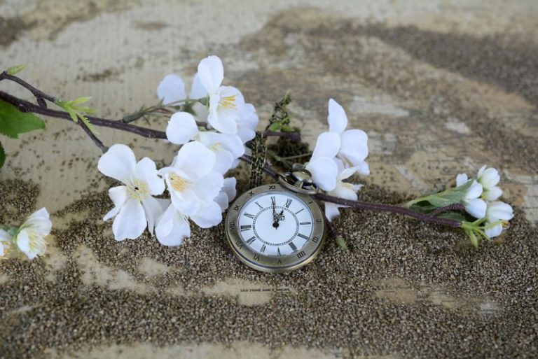 Top 20 Most Smallest Flowers In The World - Depth World